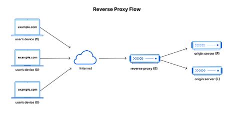 Invoice Ninja Nginx Reverse Proxy A Comprehensive Deployment Guide