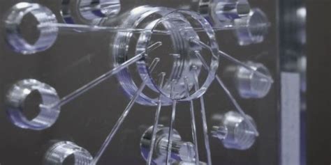 Microfluidic Chip Vs Microfluidic Manifold Explained Advanced Microfluidics Sa