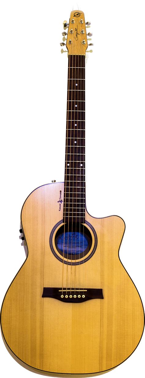 Choisir Sa Guitare Acoustique Corde Nylon Ou Métal