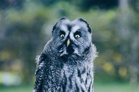 Autoscaling Kafka Streams Applications With Kubernetes By Jaroslaw
