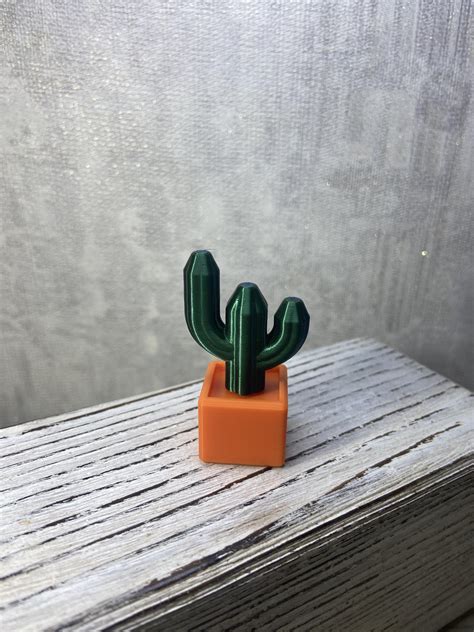 Cactus Magnet Miniature By Oleksandr Download Free Stl Model