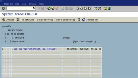Sap Security Tutorials Performing Authorization Traces In 46 Using St01