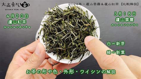 2024新茶廬山雲霧廬山紅茶2種類比較解説中国茶中国上海中国茶緑茶 YouTube