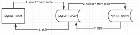 数据库中间件 Mycat 源码分析 —— 【单库单表】查询mycat 源码解析 ——单库 Csdn博客