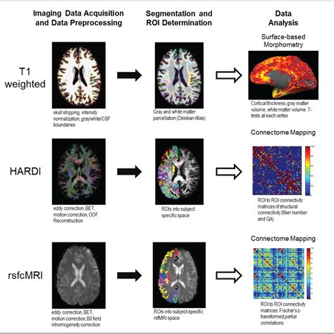 Brain Mapping Methods Diffusion Mri Plos Collections