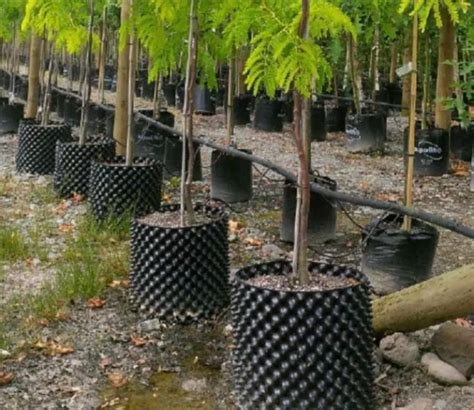 China Pe Root Controller Machine Suppliers Manufacturers Factory