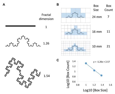 Step By Step Instructions For Making A Fractal Out Of A Personal Image