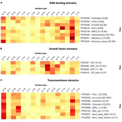 The Heatmap Reporting The Frequency Of Each Variation Type As Download Scientific Diagram