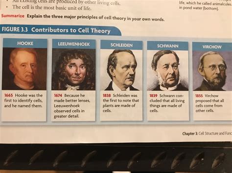 Chapter 3 Study Guide Diagram Quizlet