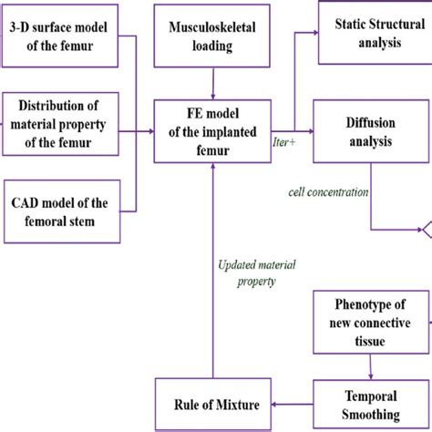Flowchart Of Simulation To Predict Different Connective Tissue At The