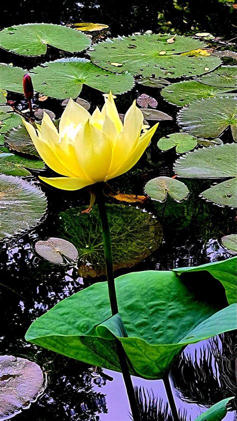 Smriti Shikha On Linkedin Genderequality Culturaldiversity Creative Feminism Humanity