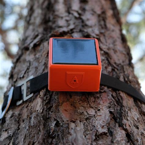 Trees Themselves Raise Wildfire Alarm In Forestguard Detection System