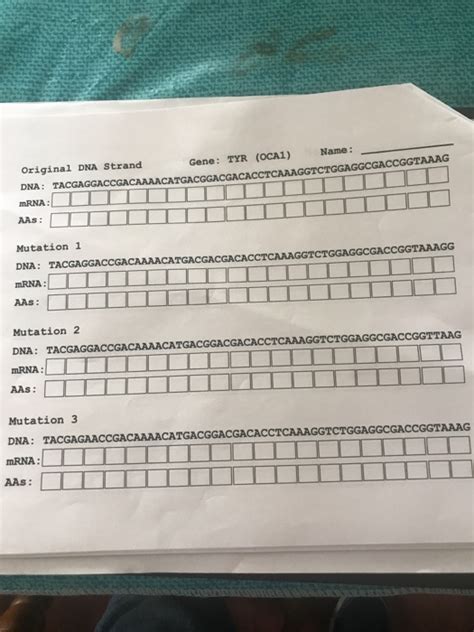 Solved 16 Albinism From Genotype To Phenotype Going