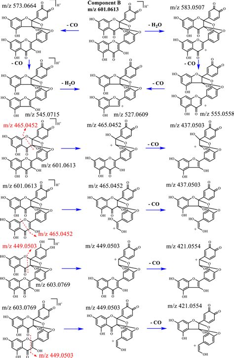 Predicted Main Fragmentation Pathways Of Compound B Mz 6010613