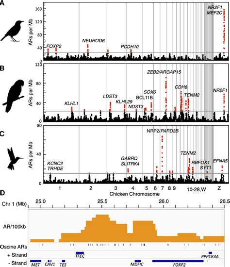Accelerated Region Distributions A C AR Hotspot Plots In Genomes For Download Scientific