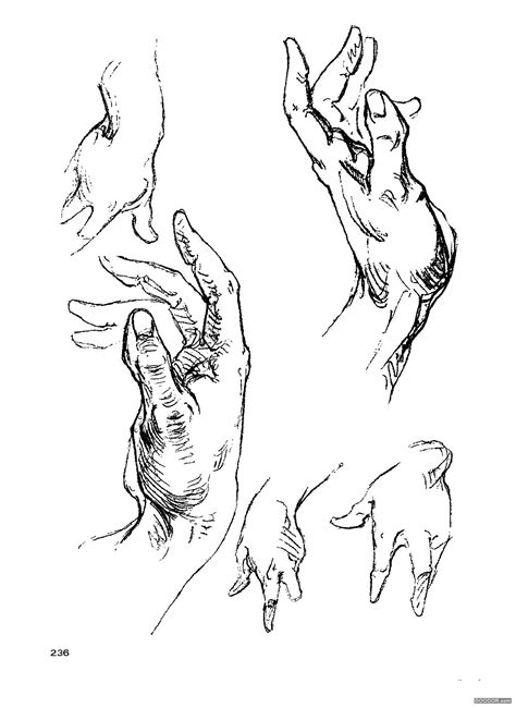 伯里曼人体结构绘画教学电子扫描版 全书 10 14 美术插画