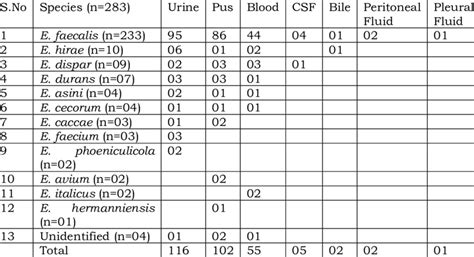 Distribution Of Enterococcus Species In Various Clinical Specimens Download Scientific Diagram