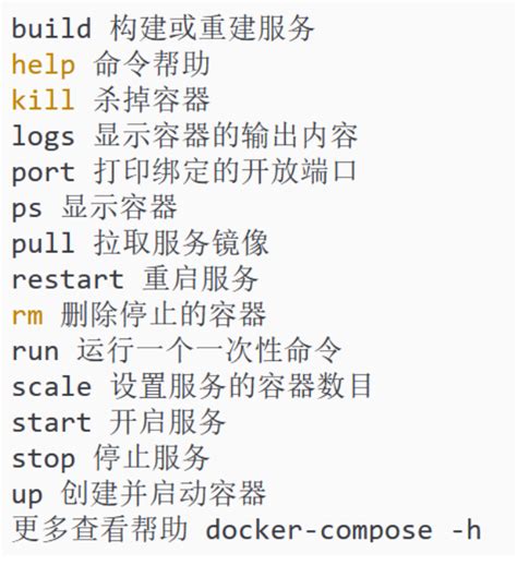 docker详解及常用命令介绍 csdn博客