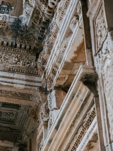 Total Mycotoxin Panel Realtime Labs Thriveology