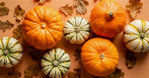 가을 구성 평평한 누워 호박과 오렌지 배경에 마른 오크 잎 가을 가을 개념 추수 감사절 엽서 디자인 사진 Unsplash의 잎 이미지