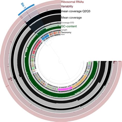 De Novo Genome Assembly