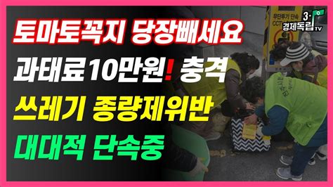 토마토꼭지 당장 빼세요 과태료10만원 충격 쓰레기봉투 종량제위반 대대적 단속중 걸리면 손해봅니다 31경제독립tv