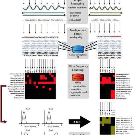 Overview Of The Deep Sequencing Analysis Pipeline Download Scientific Diagram
