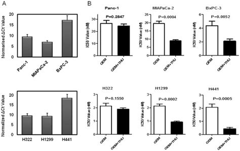 A Levels Of Cda Mrna In Pancreatic And Lung Carcinoma Cell Lines Were Download Scientific