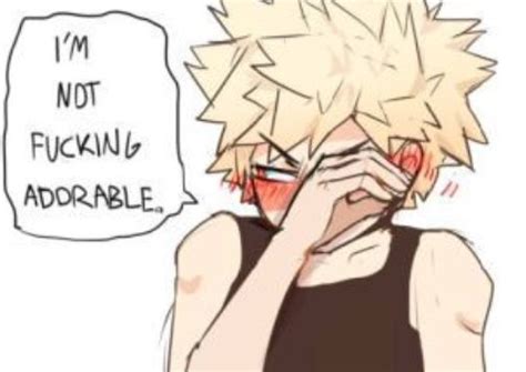 Blushing Bakugo Personagens De Anime Anime Akaito