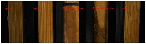 Improvement For Convolutional Neural Networks In Image Classification Using Long Skip Connection