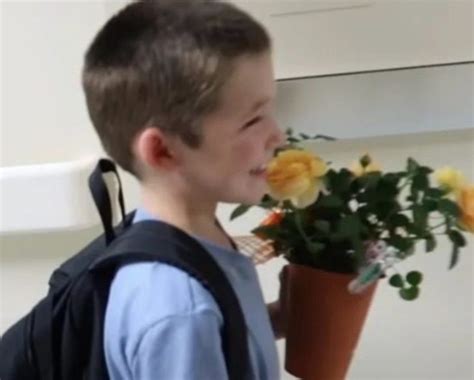 How Cute Reaction A Touching Reaction Of A Little Boy To His Newborn