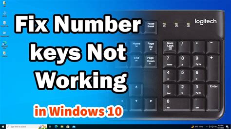 how to fix number keys not working in windows 10 pc or laptop youtube