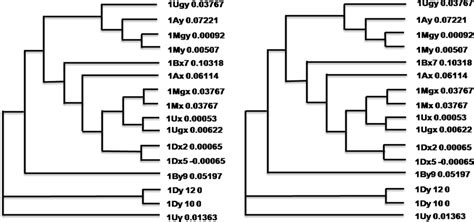 Maximum Likelihood Tree Obtained Using Neighbor Joining Method By