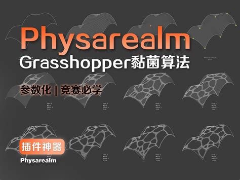 竞赛必学 参数化黏菌算法physarealm溜溜自学网