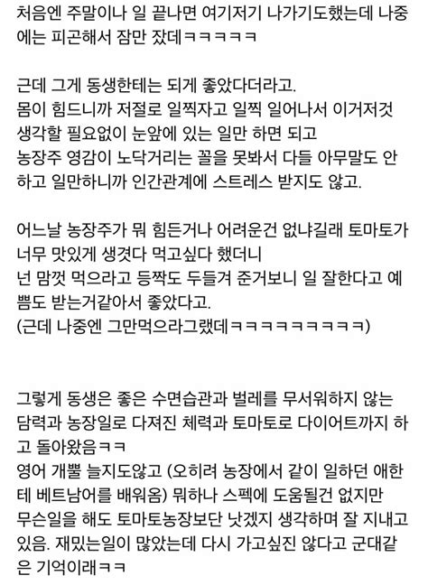 내가 본 워홀 후기 인스티즈instiz 일상 카테고리