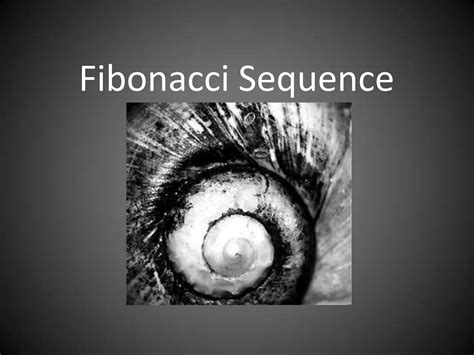 541 Interactive Ppt Fibonacci Sequence Pptx