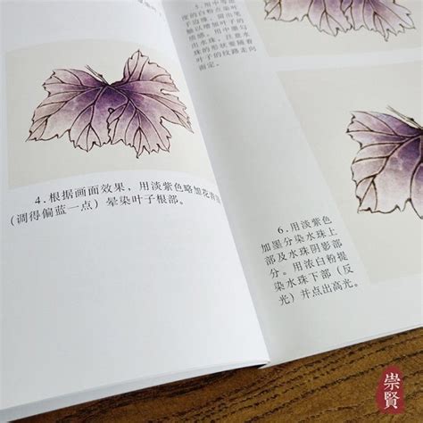 金牌書院 工筆畫初學技法葡萄國畫寫生花鳥蔬果入門孫青林國畫教程線稿著色步驟學生成人興趣學畫傳統工筆畫法美術初學水墨畫楊柳青出版社 Yahoo拍賣