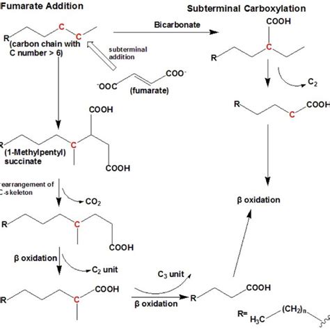 A The Crystal Structure Of Long Chain Alkane Monooxygenase Lada Download Scientific