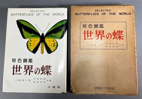 原色図鑑世界の蝶北陸館 グラビア印刷と活版印刷を駆使した昭和時代の芸術作品