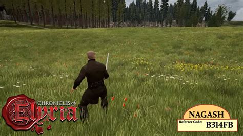 Chronicles Of Elyria Leaked Combat Footage  On Imgur