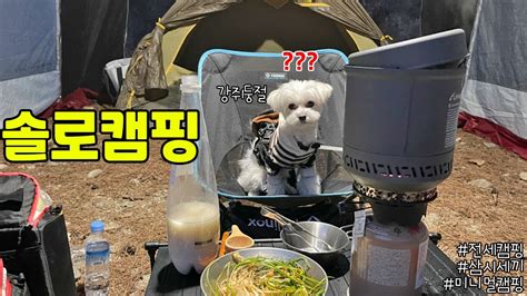 본의아니게전세캠ㅣ계곡바로앞 용오름캠핑장ㅣ애견동반캠핑ㅣ당근에서 15만원주고산 쉘터 혼자치기 Youtube