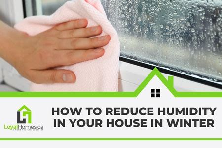 5 Easy Ways To Reduce Humidity In Your House In Winter