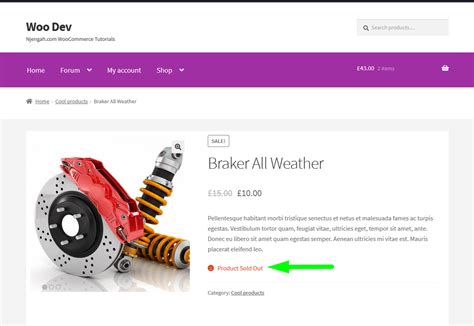 How To Display Stock Availability Text In WooCommerce