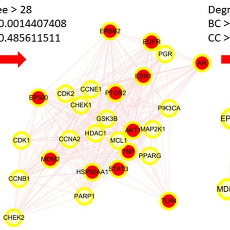 Ppi Network Hub Gene Screening Process The Red Nodes Represent The Download Scientific Diagram