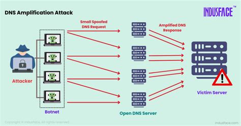 What Is Dns Reflection Attack Amplification Attack