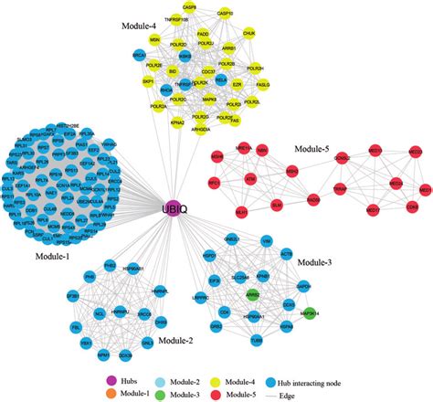 Cross Talk Among The Five Modules And Ubiq Hub In The Network Ubiq