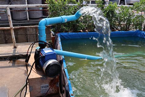 จำหน่ายปั๊มน้ำหอยโข่งโซล่าเซล Tayo Dc 24v 370w Home Mmc Solartech