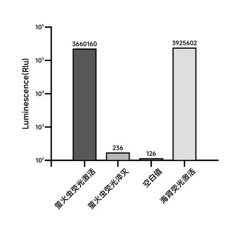 赛维尔生物服务 产品 Servicebio 武汉赛维尔生物科技有限公司