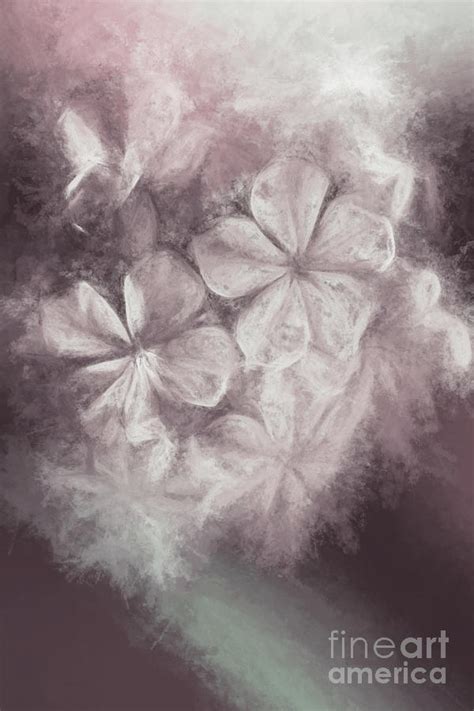 Fibonacci Flowers In Energy Manipulation Calculus Digital Art By Jorgo
