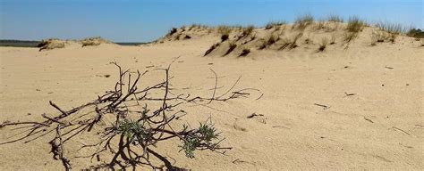 Місце для гармонії із собою Кицівська пустеля під Харковом